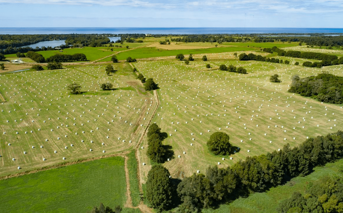 Organic Dairy Benefits | Barambah Organics